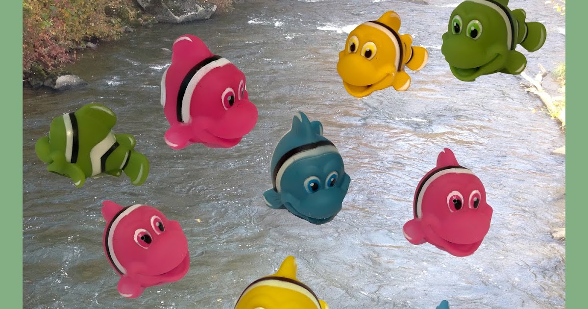 The Great Bay Fish Race