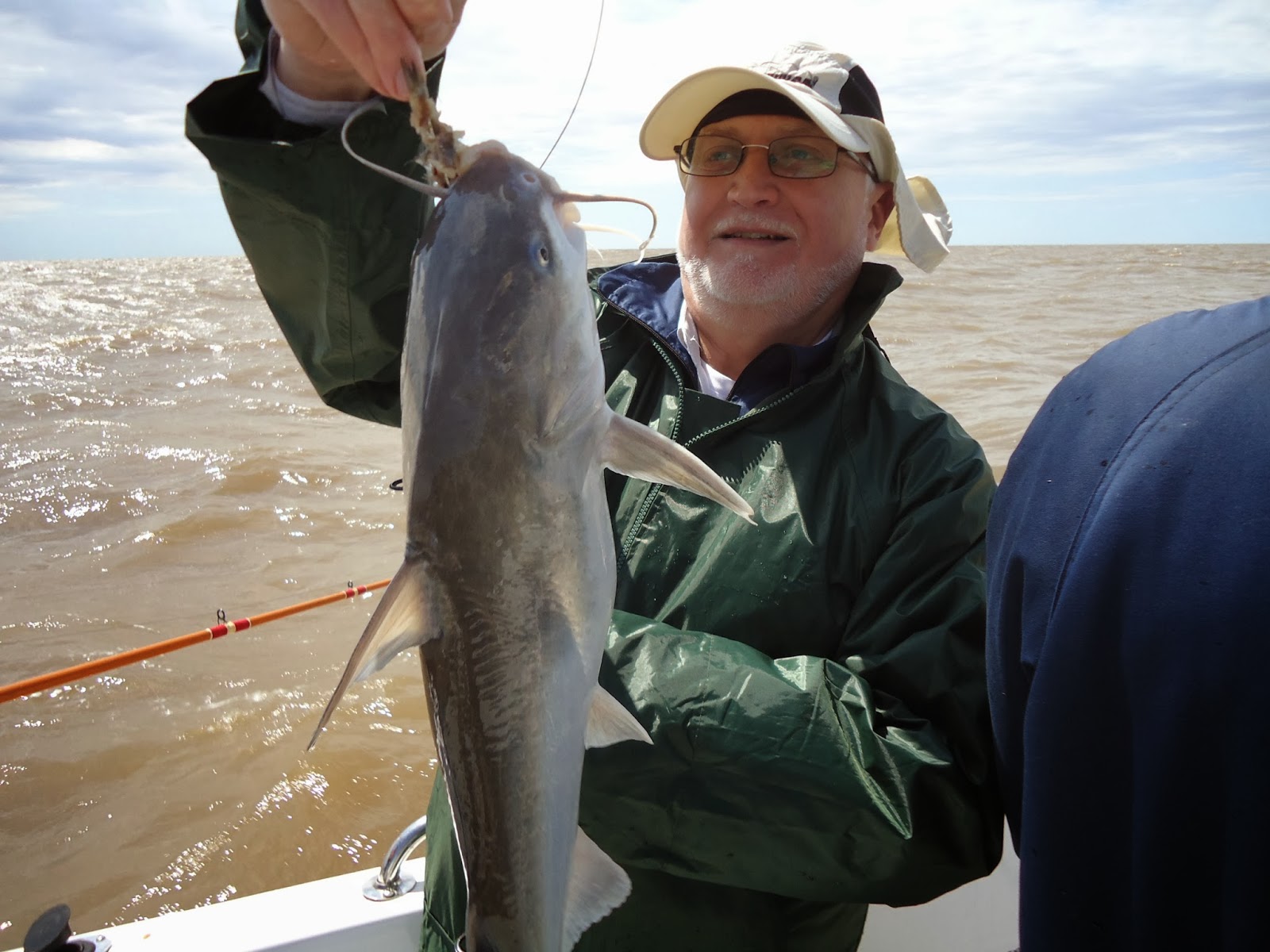 El Renegado Pesca en Berisso "Guia de Pesca Profesional": Bagres de mar ...