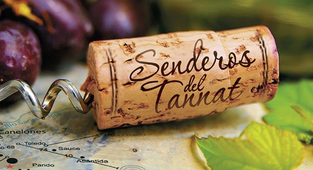 Varietal Tannat ~ Enología