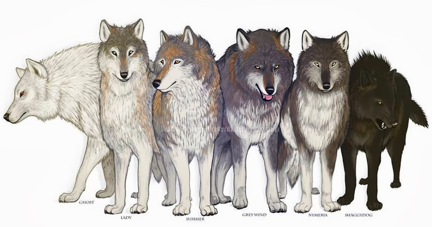 How The Game of Thrones ends based upon The Wheel of Time: Will the ...