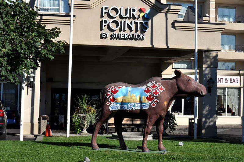 Toronto Grand Prix Tourist - A Toronto Blog: Maple Leaf Moose: Welcome ...