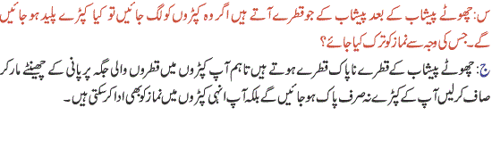 Peshab And Napaki - Urdu Islamic Website - Urdu Islamic Speeches ...