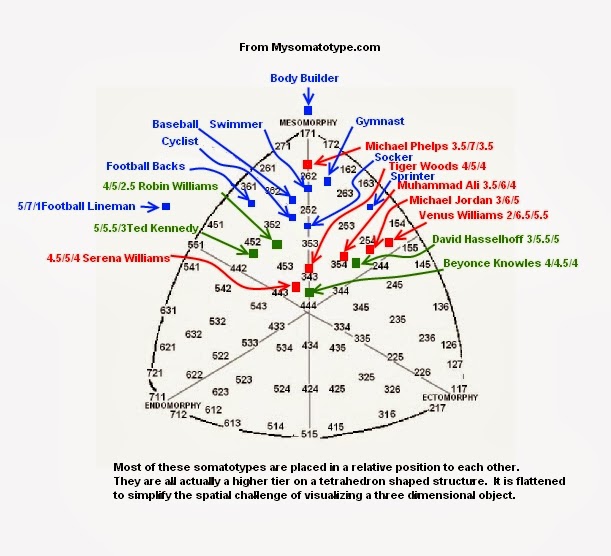 Fitness Confirmed: Somatotypes explained...