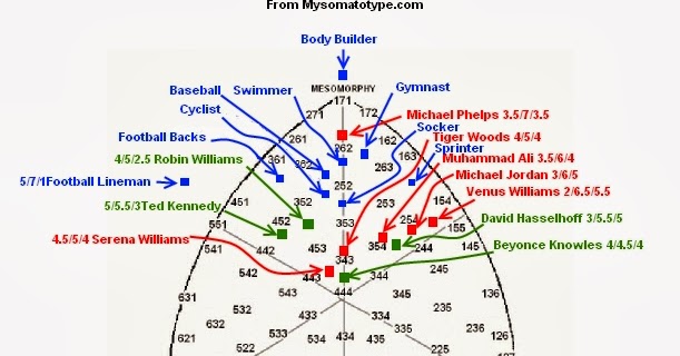 Fitness Confirmed: Somatotypes explained...