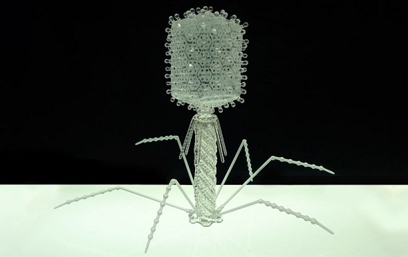 Hybrids of Art and Science: Beautiful Viruses