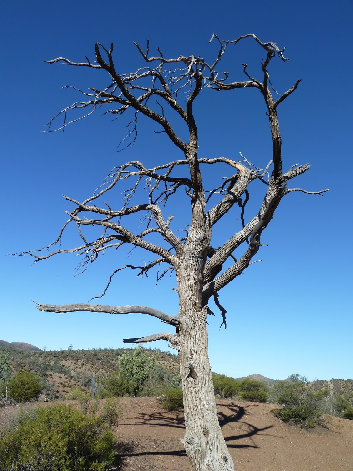 Around Australia 2012: Flinders Rangers SA 19/6/12 to 22/6/12