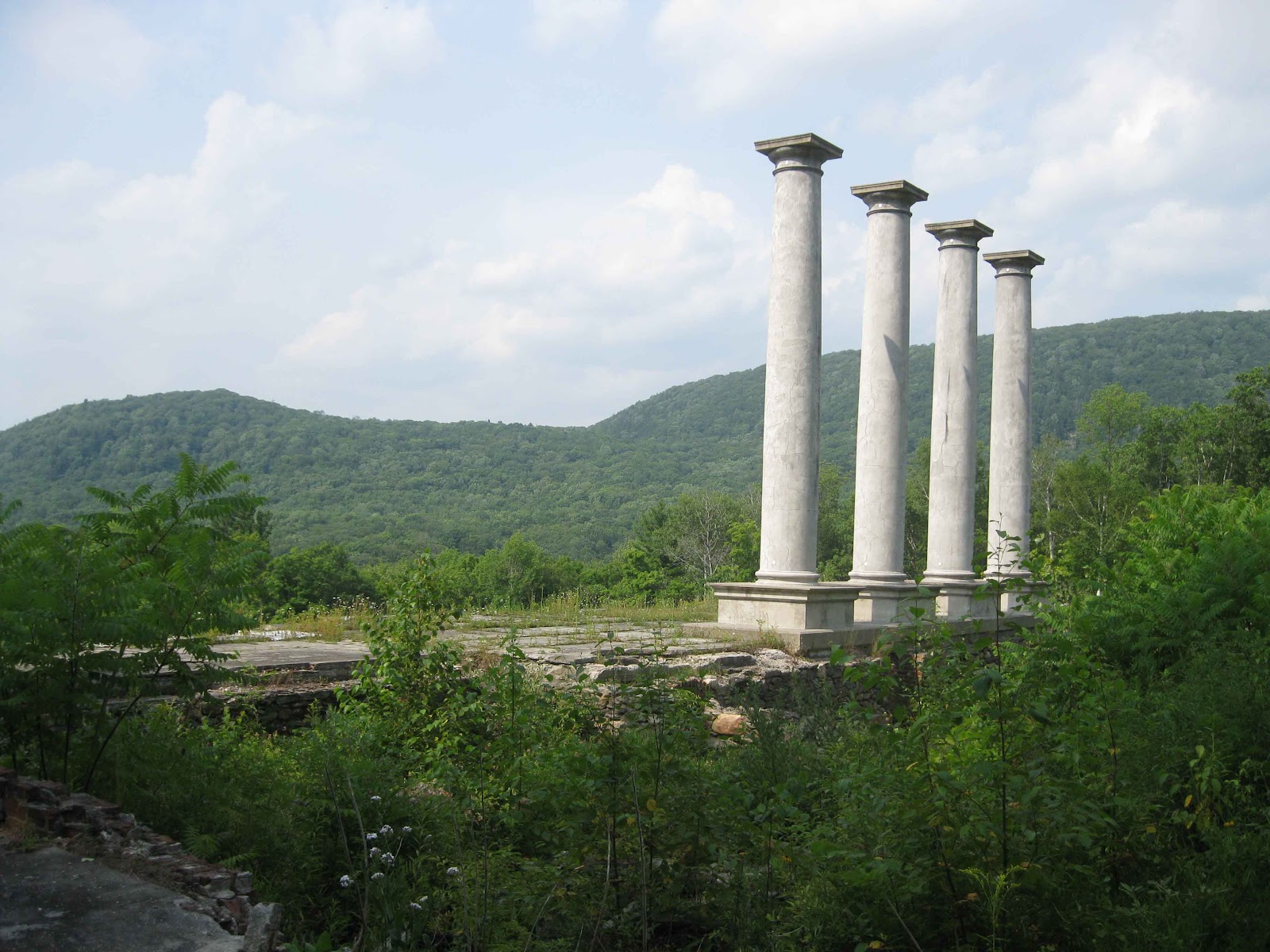 flower flinging: Ashintully