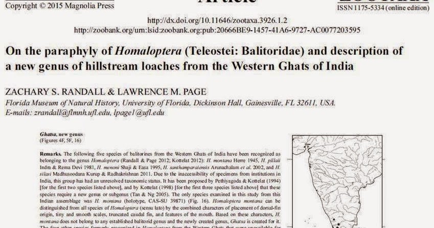 Species New to Science: [Ichthyology • 2015] Ghatsa spp. • On the ...