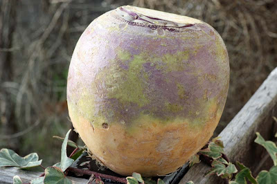 Swede - Fruits And Vegetables