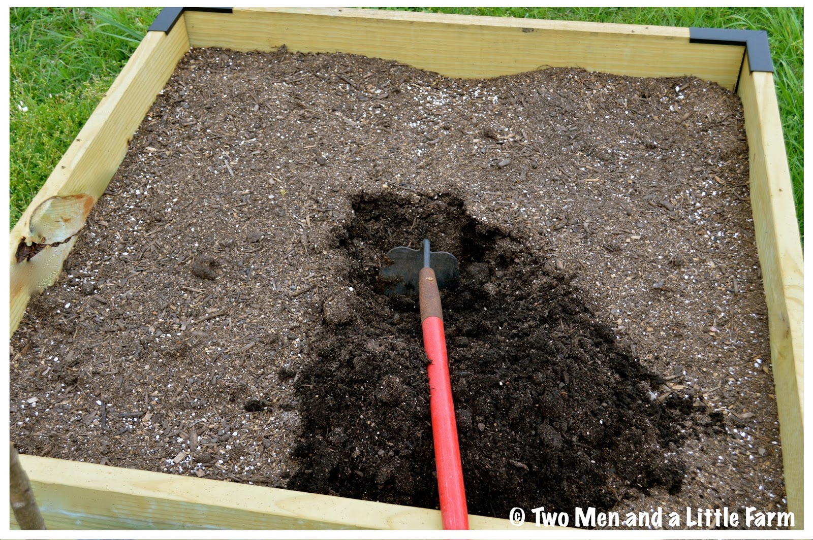 Small Raised Beds Fruit Trees