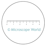 Microscope World Blog: Microscope Reticles
