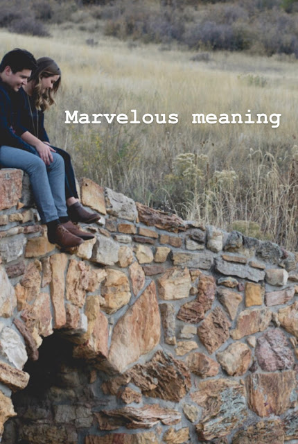 What does Marvelous Meaning... mean?