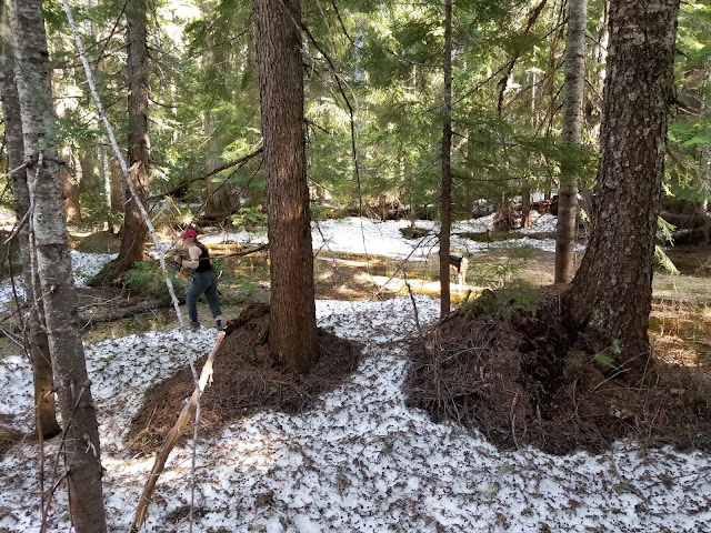 Take a Hike: Ruby Mountain, North Cascades National Park, WA
