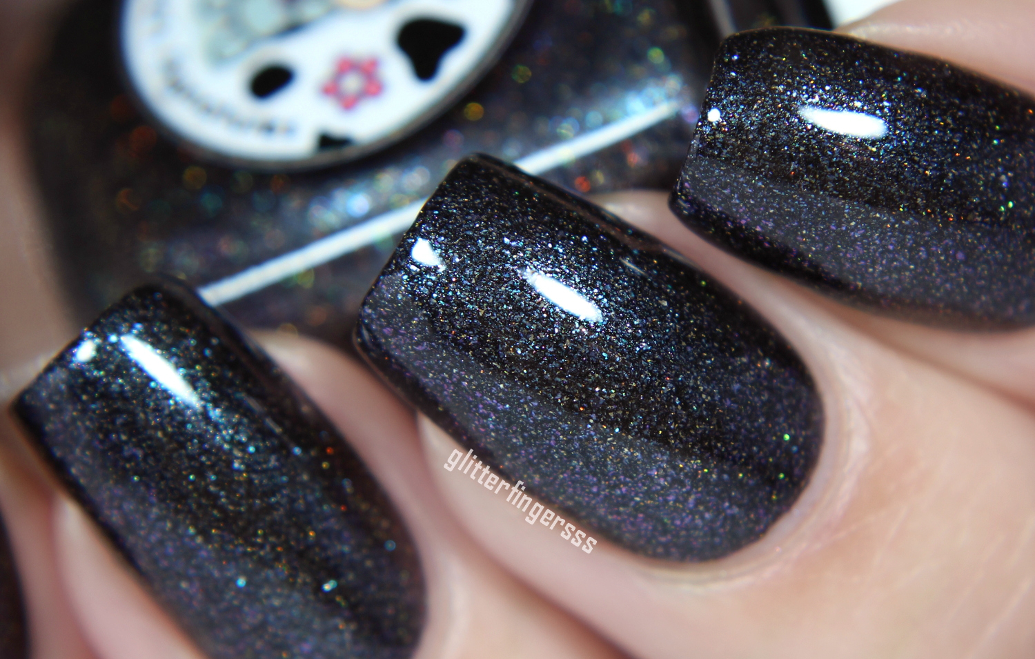 Moo Moo's Signatures | 6 random shades ~ Glitterfingersss in english
