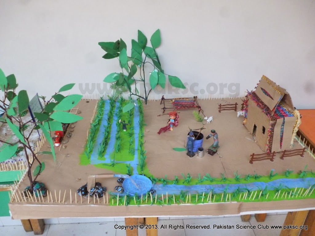 Photos of Science Fair in The Educators School - Pakistan Science Club