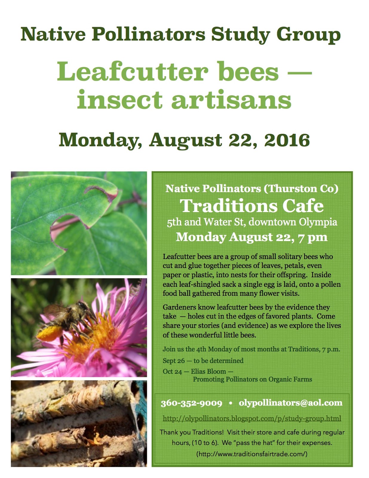 Bees, Birds & Butterflies: Monthly Pollinator Study Group Posters