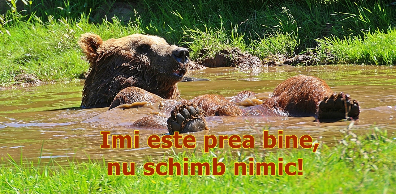 Asa ajungi ursulet de plus