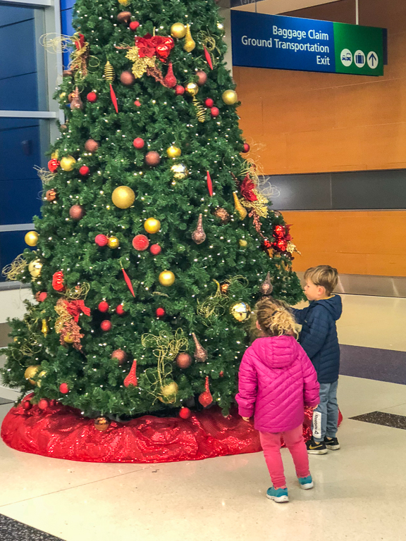 Tales of the Flowers: A Michigan Thanksgiving visit and a trip to ...