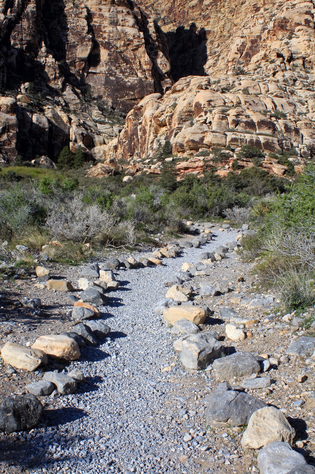 Around the Bend Friends ®: SMYC Trail & Ice Box Canyon - 3/9/15