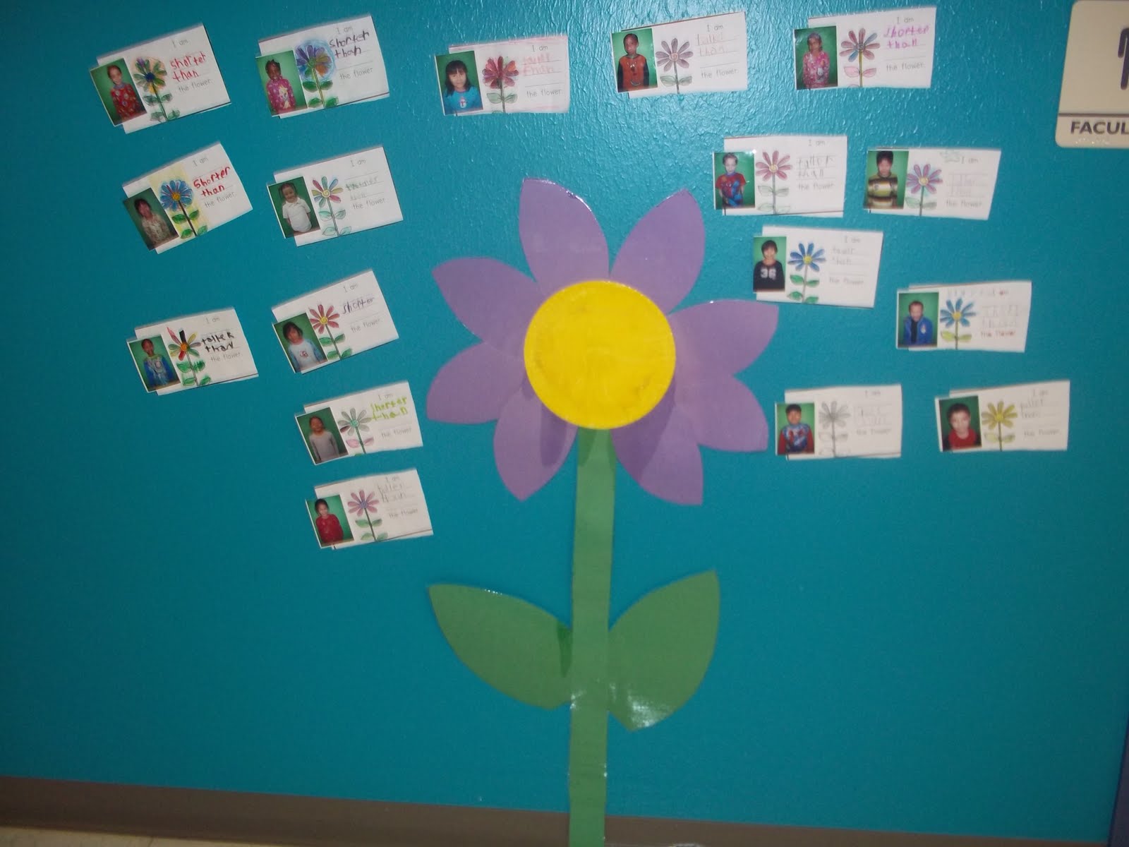 Mrs. Wood's Kindergarten Class: Big Flower Measurement