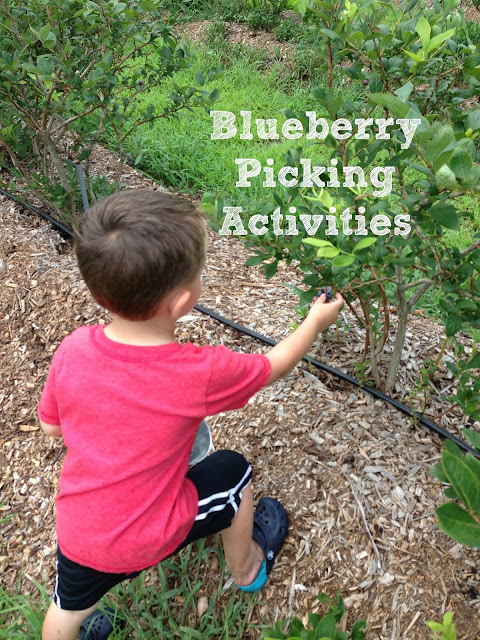 Some of the Best Things in Life are Mistakes: Blueberry Picking Activities