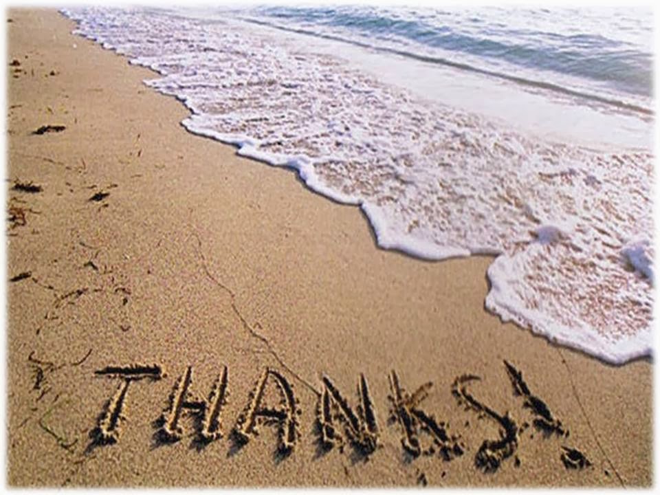 Kneale Mann | Leadership: Thanking Your Team