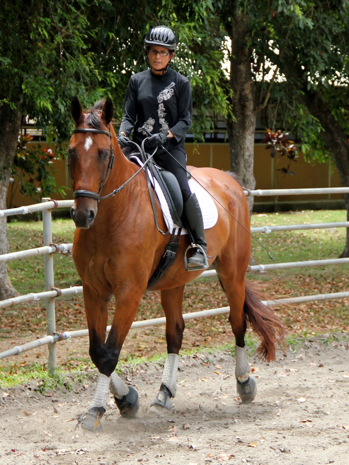 Good Horsekeeping: Bitless Bridle