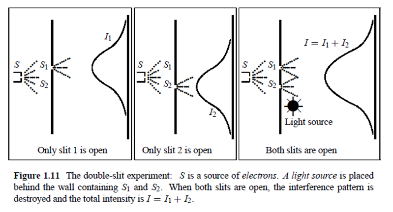 information online: Double Slit Experiment