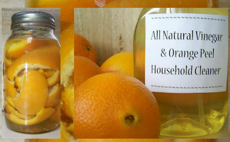 The Gardening Apprentice Natural All Purpose Cleaner Made From Orange