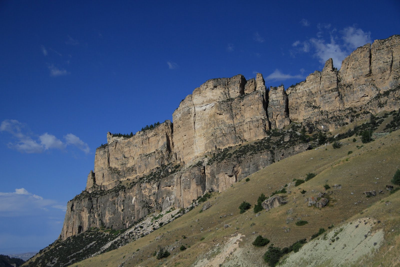 Serendipity and Orchids: Eastern Wyoming