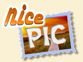 O pé de Feijão: NICE PIC - uma imagem e uma história - [1]