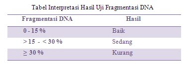 Klinik Andrologi: Uji Fragmentasi DNA