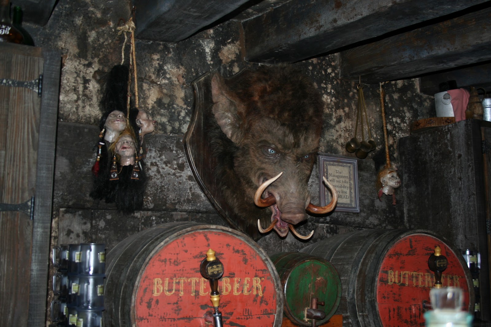 By Bryn: Wizarding World of Harry Potter!... and Universal