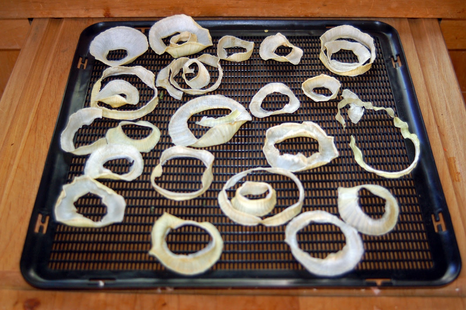 Dehydrating Way Beyond Jerky: Onion Rings