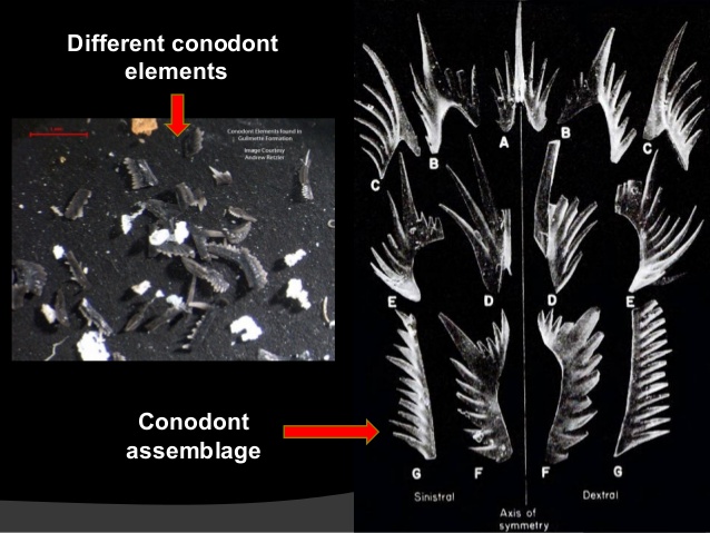 Partial Ellipsis of the Sun: A Blog for Scientists who like Words and ...
