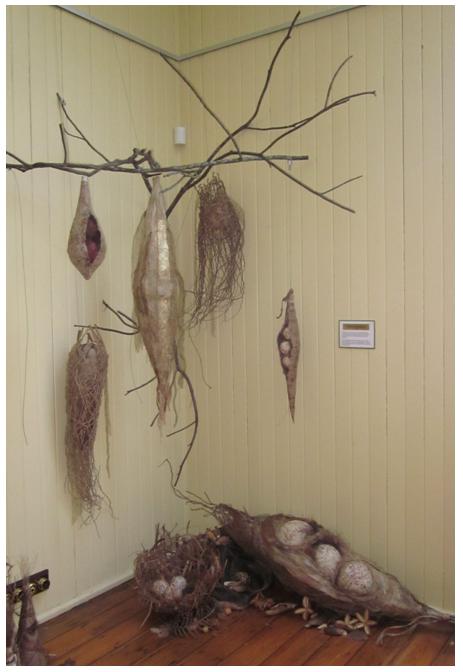 Artist-in-Residence ... Mt Coot-tha Botanic Gardens: December 2012