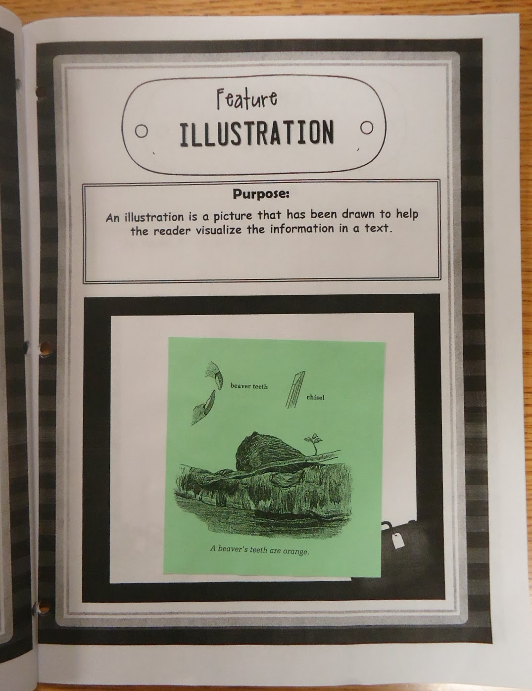 Diving Into Nonfiction Text Features