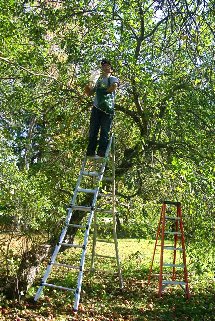 Canoe Corner: Tools for Apple Picking