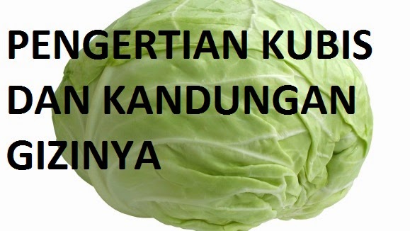 Pengertian Kubis dan Kandungan Gizinya - Buah Sayur Sehat