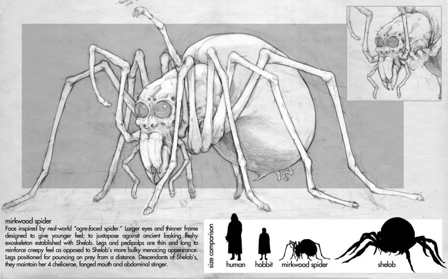 Lord of the Rings: spiders of Mirkwood