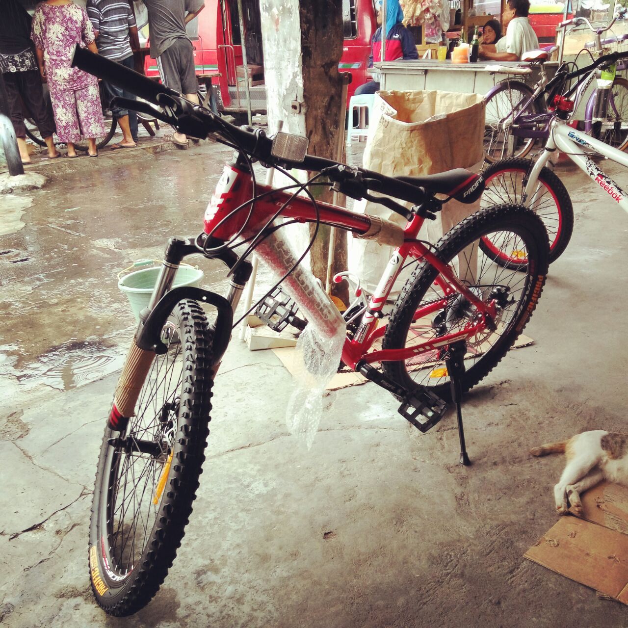 taufanyanuar: Jenis Sepeda