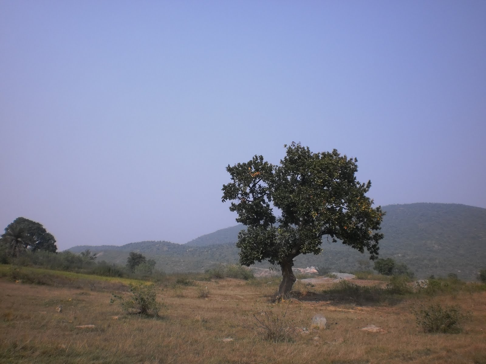 Life is amazing - enjoy it: Short tour to Galudih - window to Tribal India