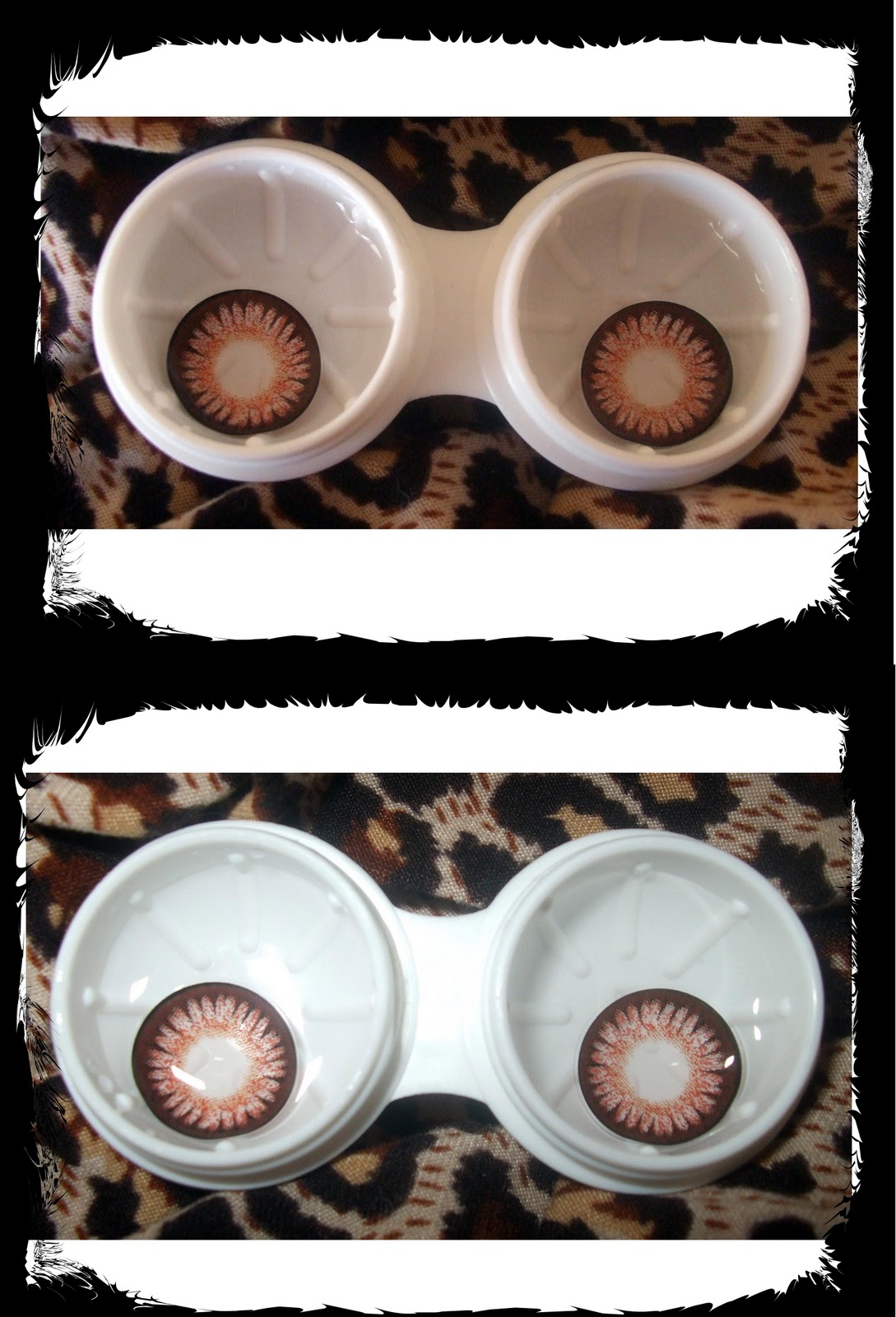 Pinky Paradise Lens Review | Twistful Beauty