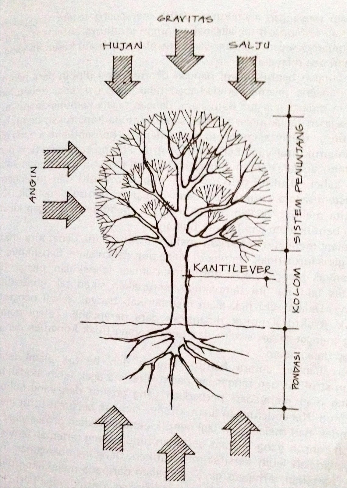 Belajar Arsitektur: HUBUNGAN STRUKTUR DENGAN ARSITEKTUR