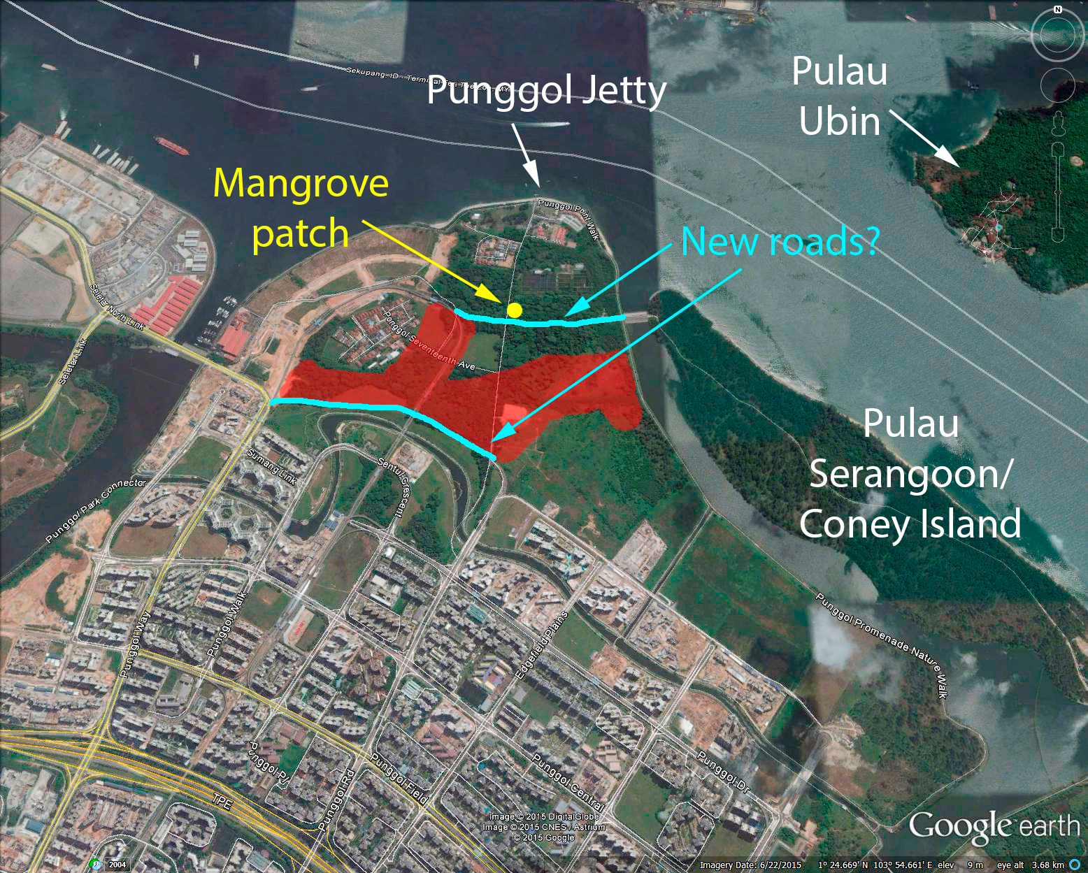 wild shores of singapore: How will the new Punggol SIT campus affect ...