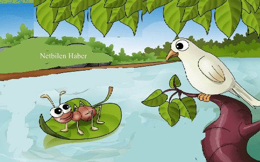 Fabl Nedir? Fabl Örnekleri Hakkında Kısa Bilgi - Netbilen Haber