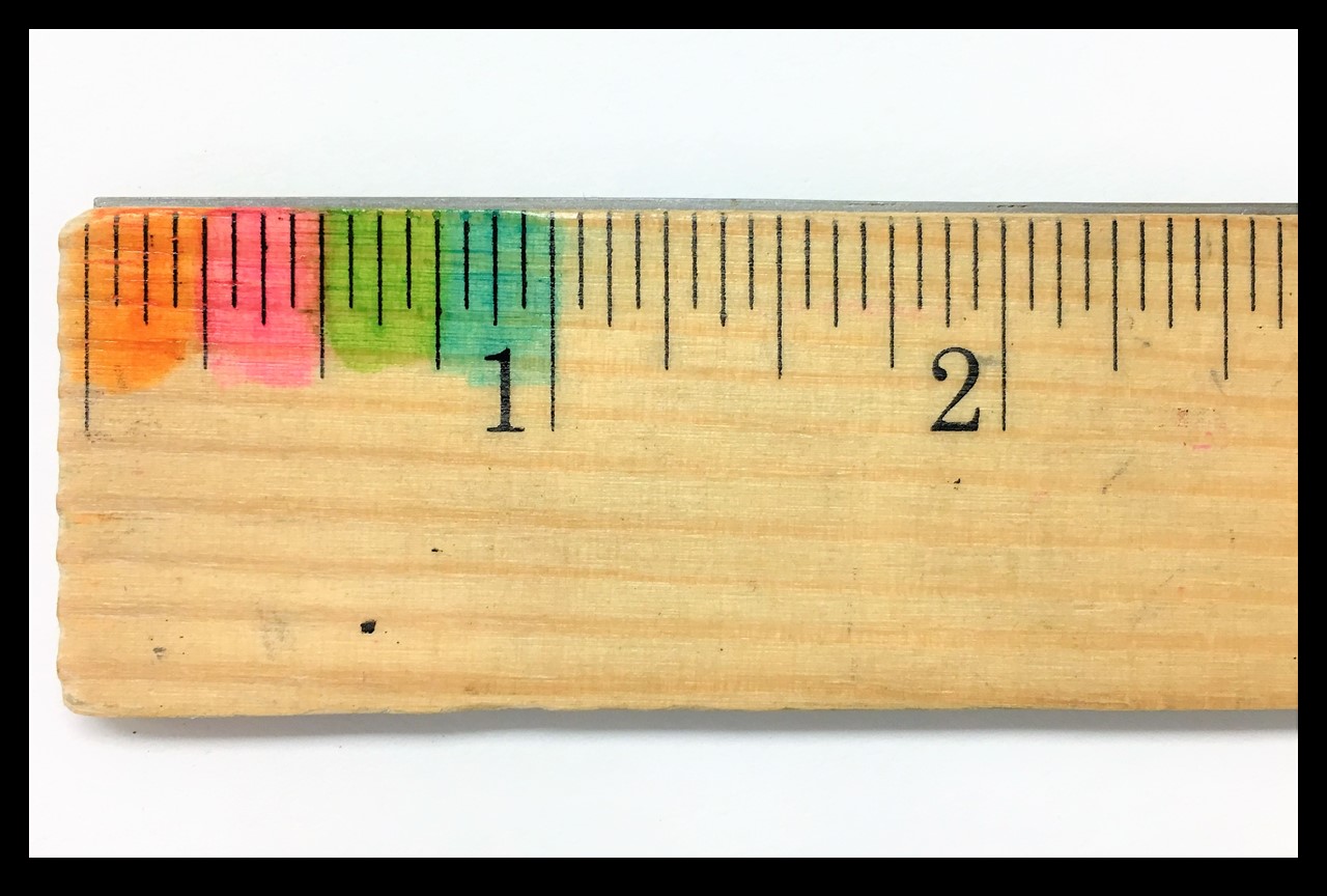 Inside & Out with Karen & Kelie: Hands-On Activities for Teaching ...