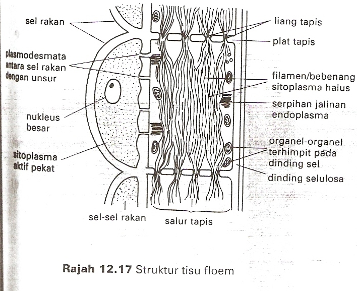 REKA BENTUK DAN TEKNOLOGI: RBT 1024