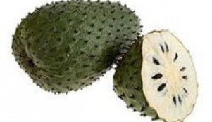 Graviola tree fruit