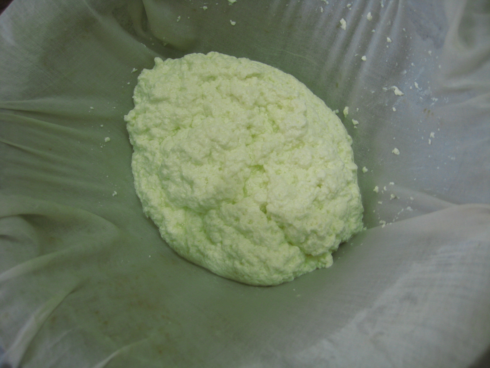 madhuri's kitchen: Chhena Poda Recipe / Food Odisha / Famous Oriya Sweets